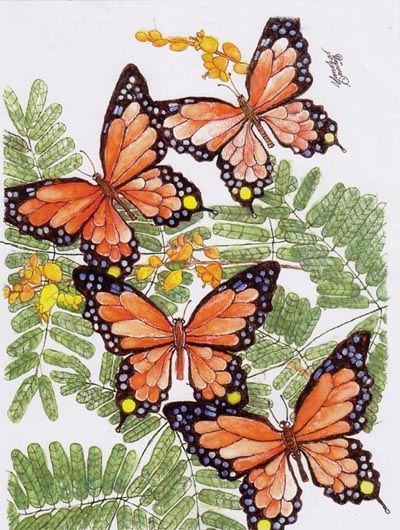 Madras Musings - We care for Madras that is Chennai